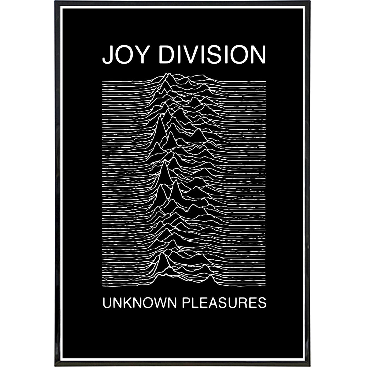 Joy Division Show Poster Print – Shady Front